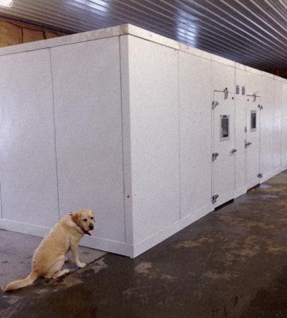 We Feed Raw | Our Story